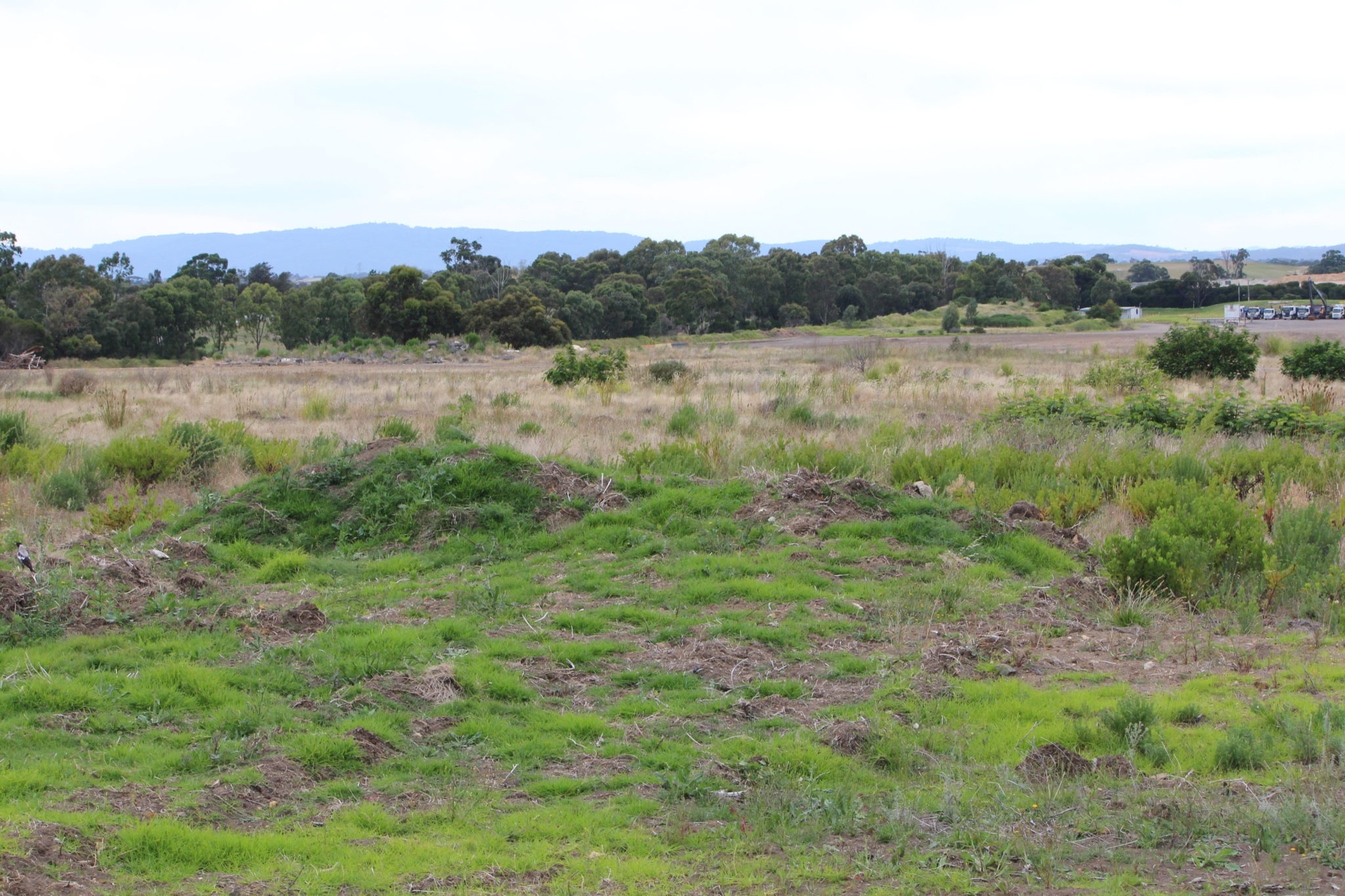 Suburban Rail Loop - History of the Delta site